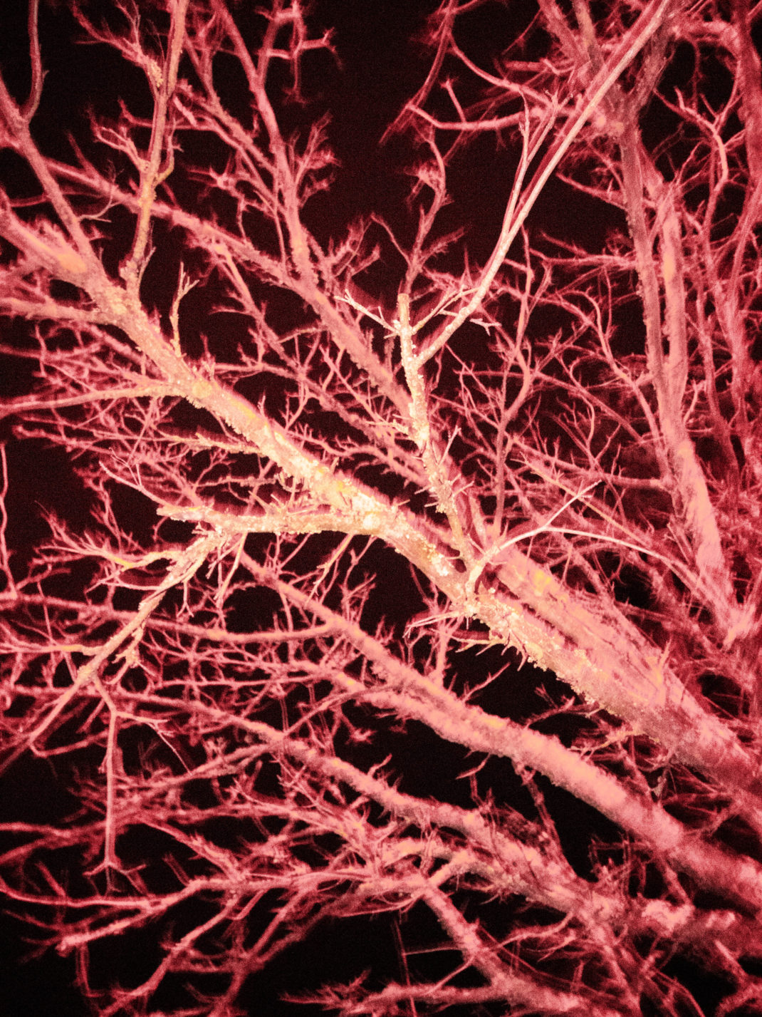 Dolorès Marat : Une photographie troublée et troublante | Aymeric Costa ...